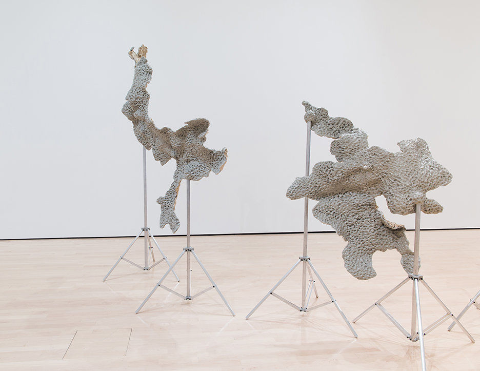 Patron Gallery | Daniel G. Baird : Field Station: Daniel G. Baird