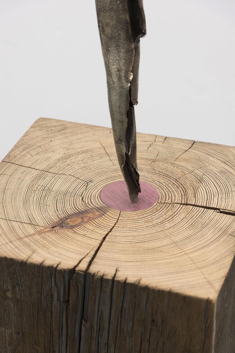 Patron Gallery | Alex Chitty