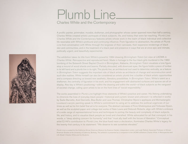 Patron Gallery | Plumb Line: Charles White and the Contemporary