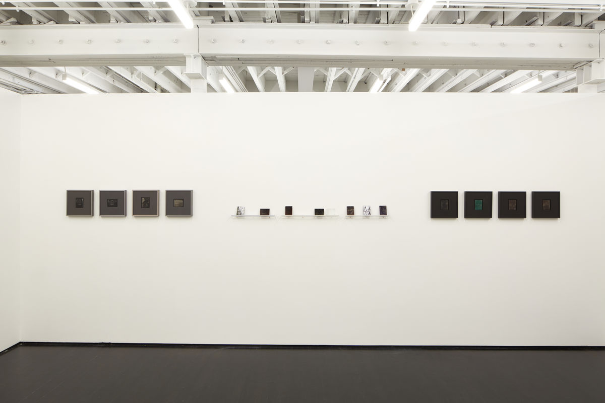 Patron Gallery | Myra Greene : Spectrum