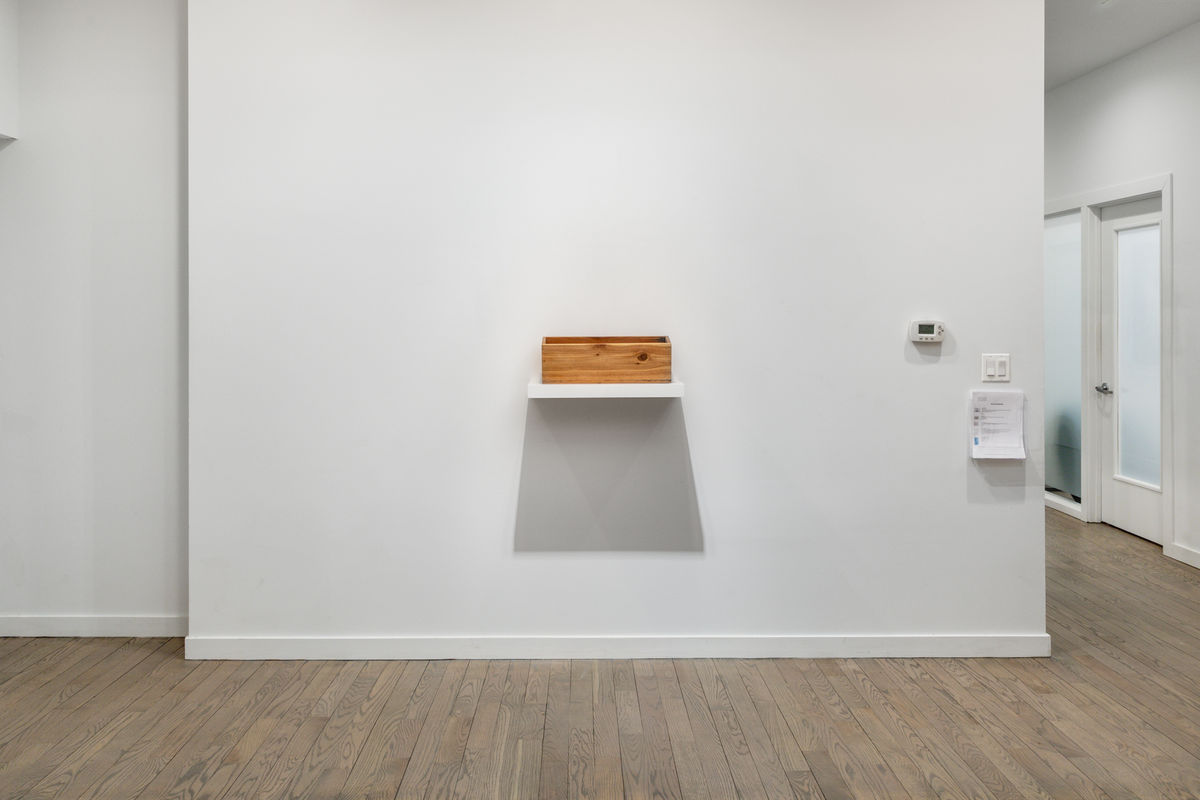 Patron Gallery | Soo Shin : We, Dandelions