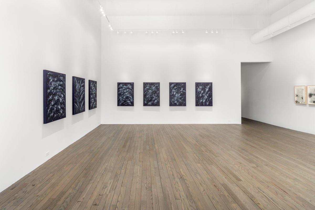 Patron Gallery | Bethany Collins : Cadence