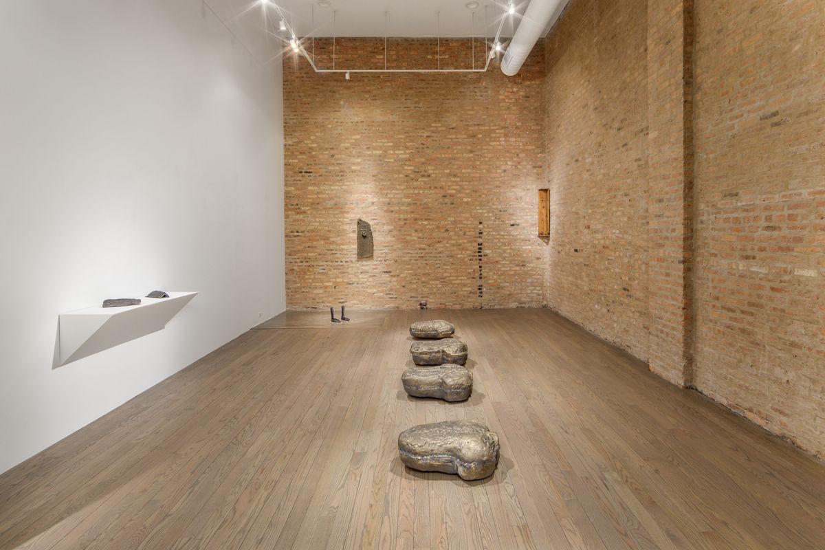 Patron Gallery | Soo Shin : We, Dandelions
