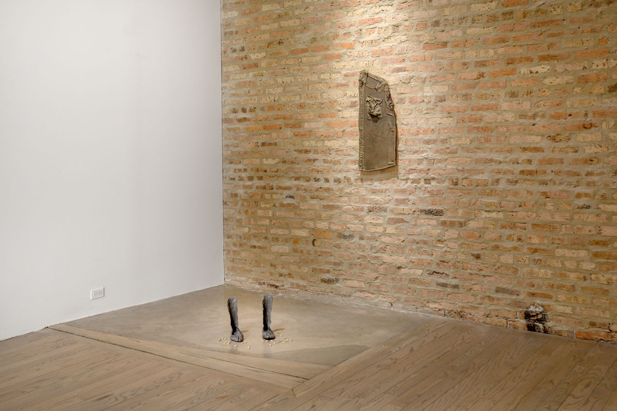 Patron Gallery | Soo Shin : We, Dandelions