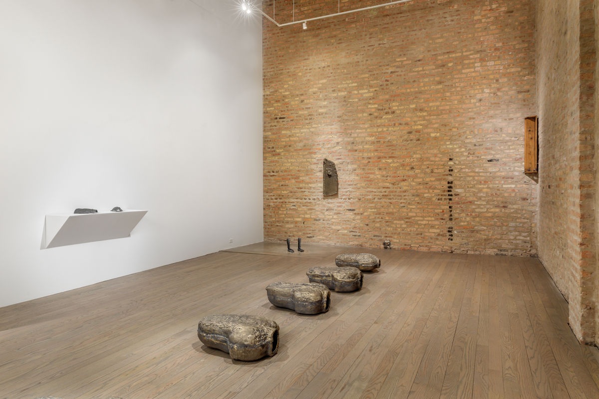 Patron Gallery | Soo Shin : We, Dandelions